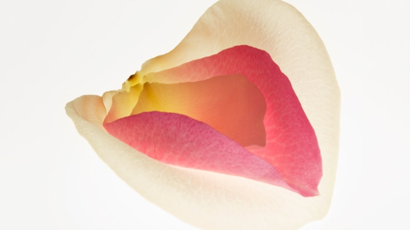 Paolo Morselli | Chirurgia Plastica ed Estetica Bologna Rimini ...